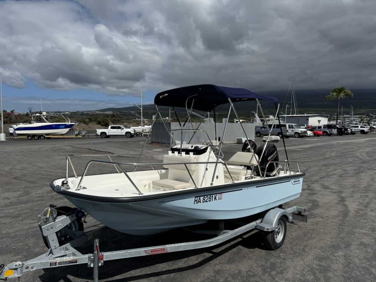 15' Boston Whaler 150 Montauk - Pacific Boats and Yachts